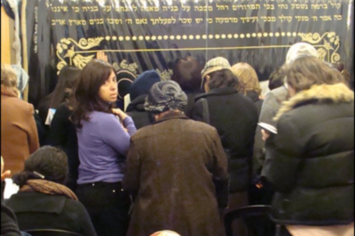 Orly Halpern | Political Research Associates