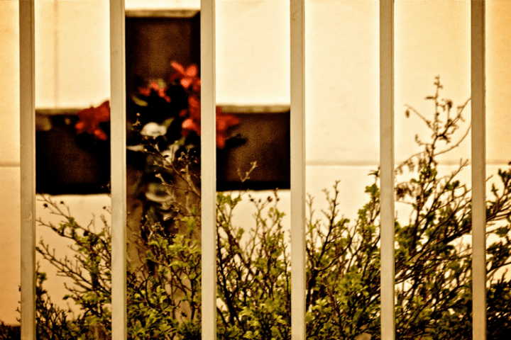 Stephanie Gaskill | Political Research Associates